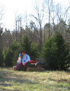 Five Acclaimed Virginia Christmas Tree Farms – When in Virginia